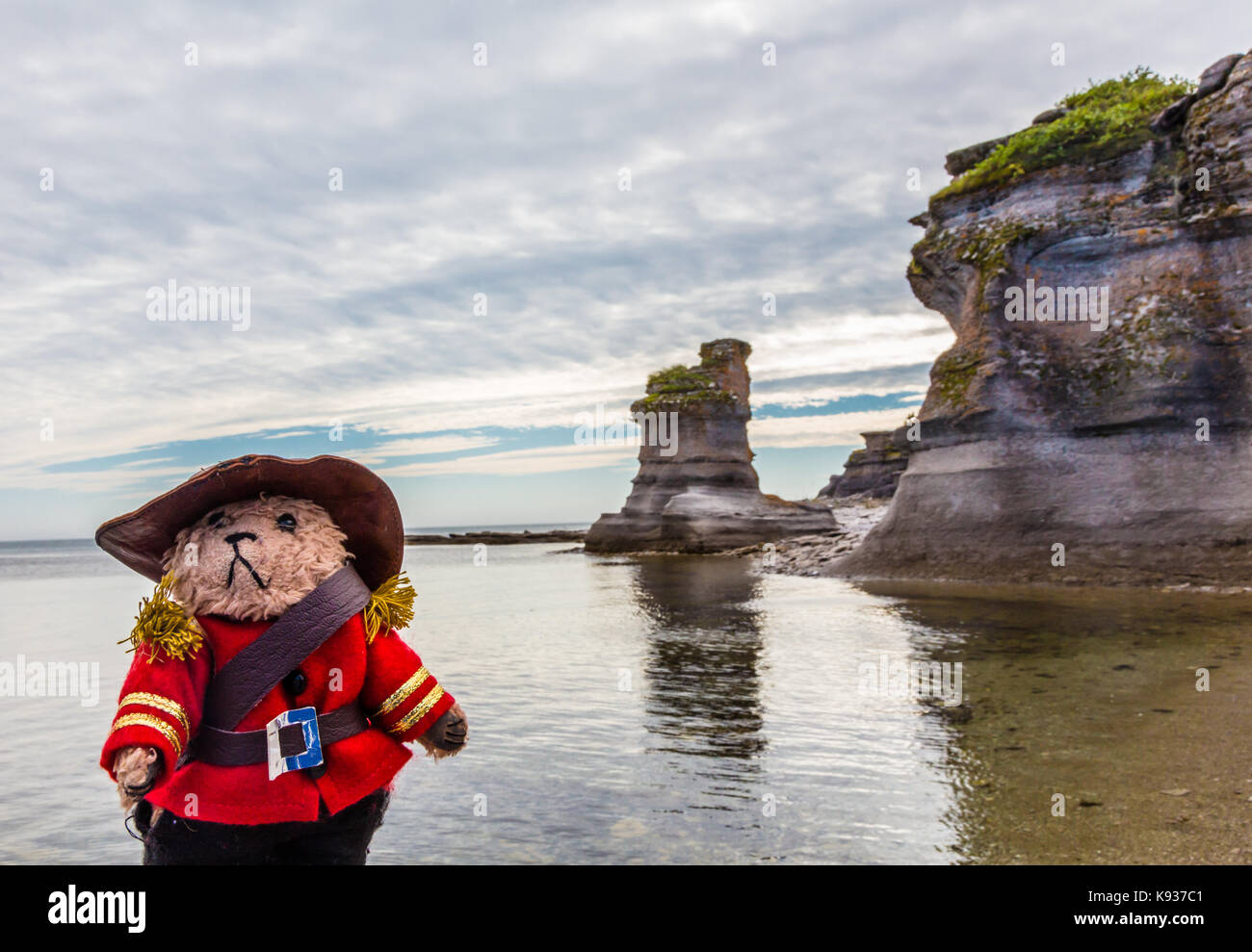 Beni, a teddy bear, in front of the sea carved monoliths on Niapiskau ...
