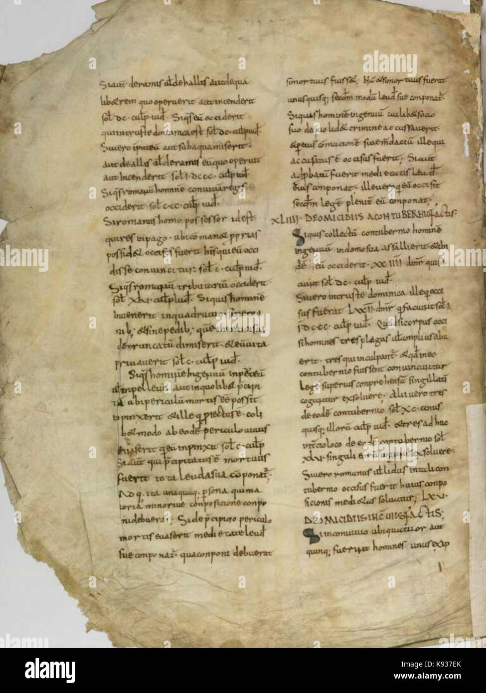 This manuscript, dating back to 1348, contains the Lex Salica, the ...