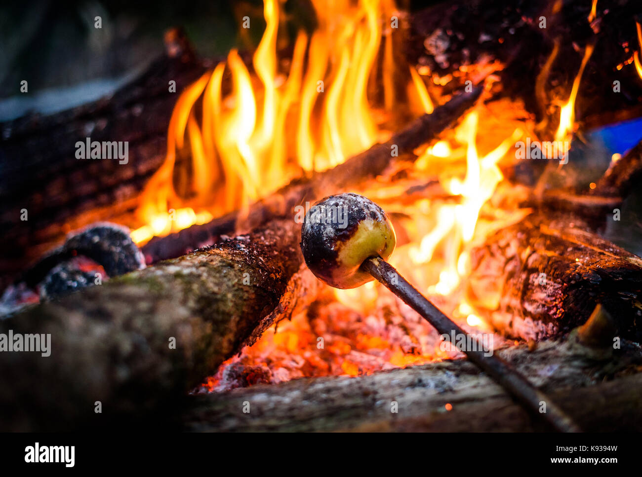 Making and cooking grilled apple over open camp fire. Grilling food ...