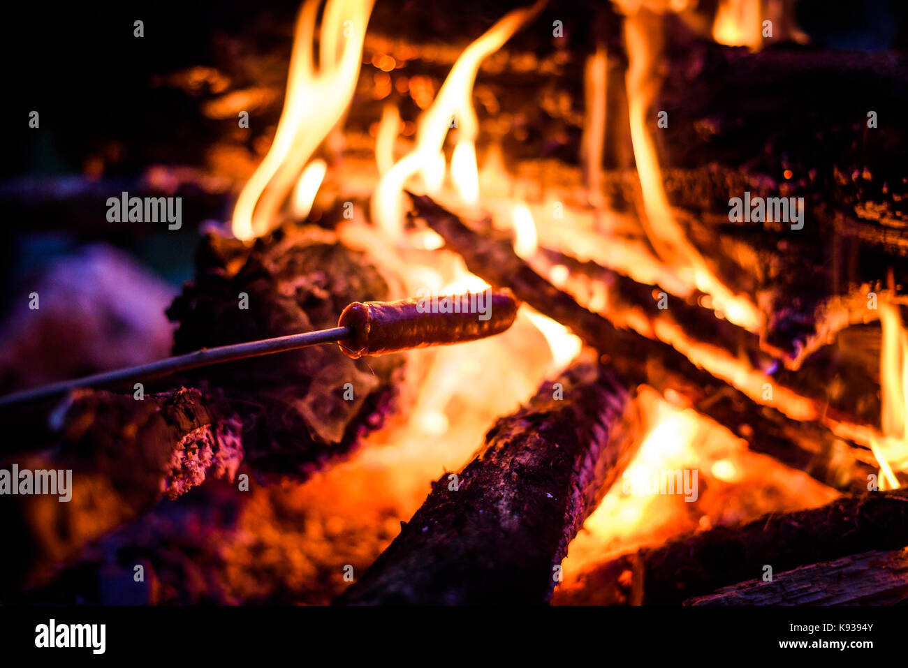 Making and cooking Hot dog sausages over open camp fire. Grilling food ...