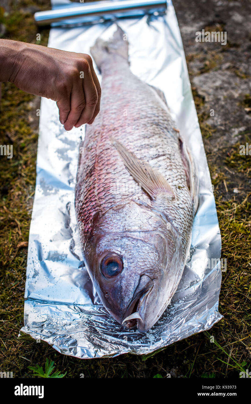 Preparing big dentex fish for barbecue cooking on picnic outside ...