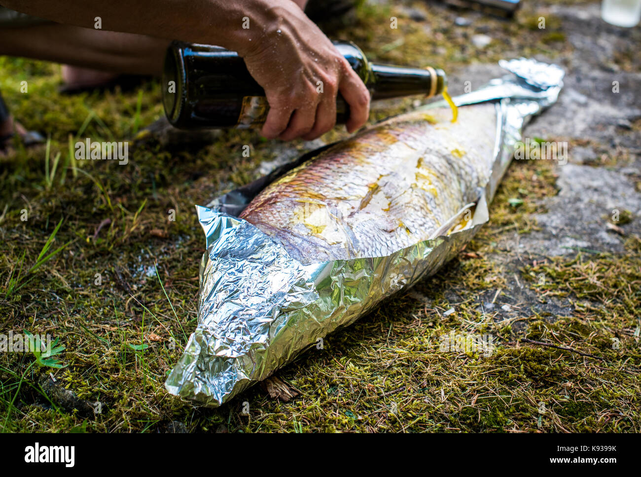 Preparing big dentex fish for barbecue cooking on picnic outside ...
