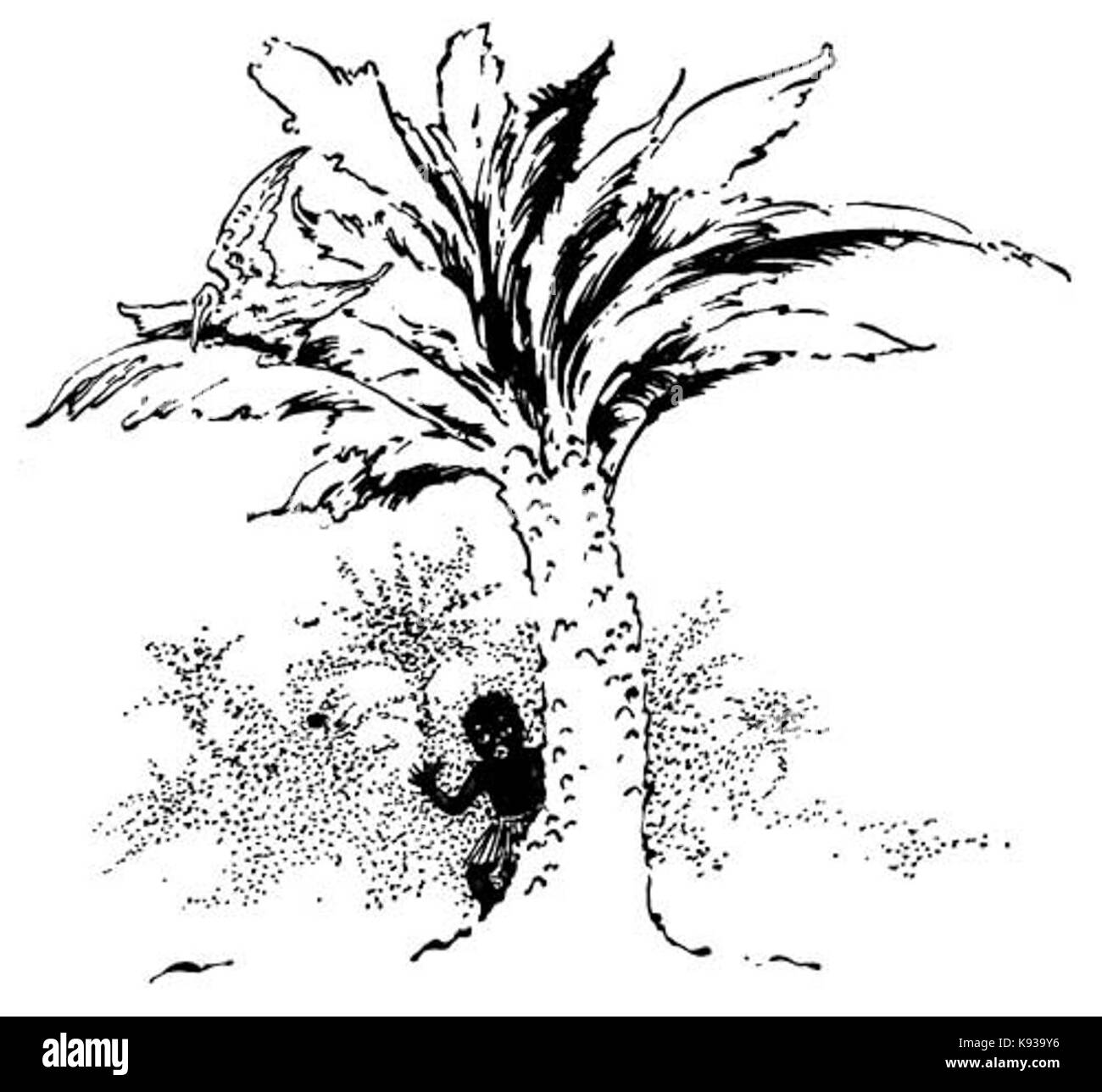 31 edition Black and White Stock Photos & Images - Alamy