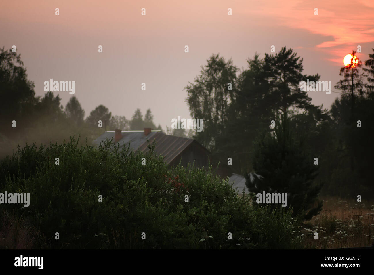 sunset tree summer Stock Photo - Alamy