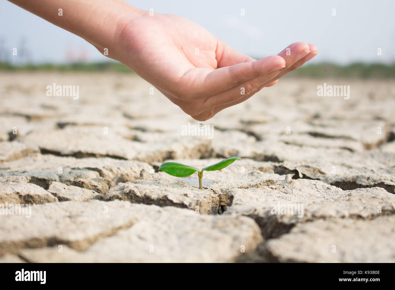 To protecting plants, protecting our lives Stock Photo - Alamy