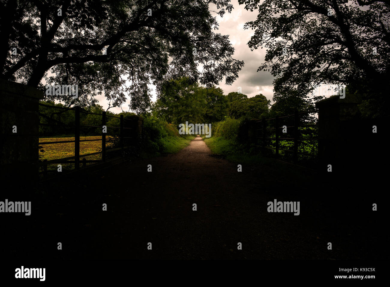 Path Trough The Woods High Resolution Stock Photography and Images - Alamy