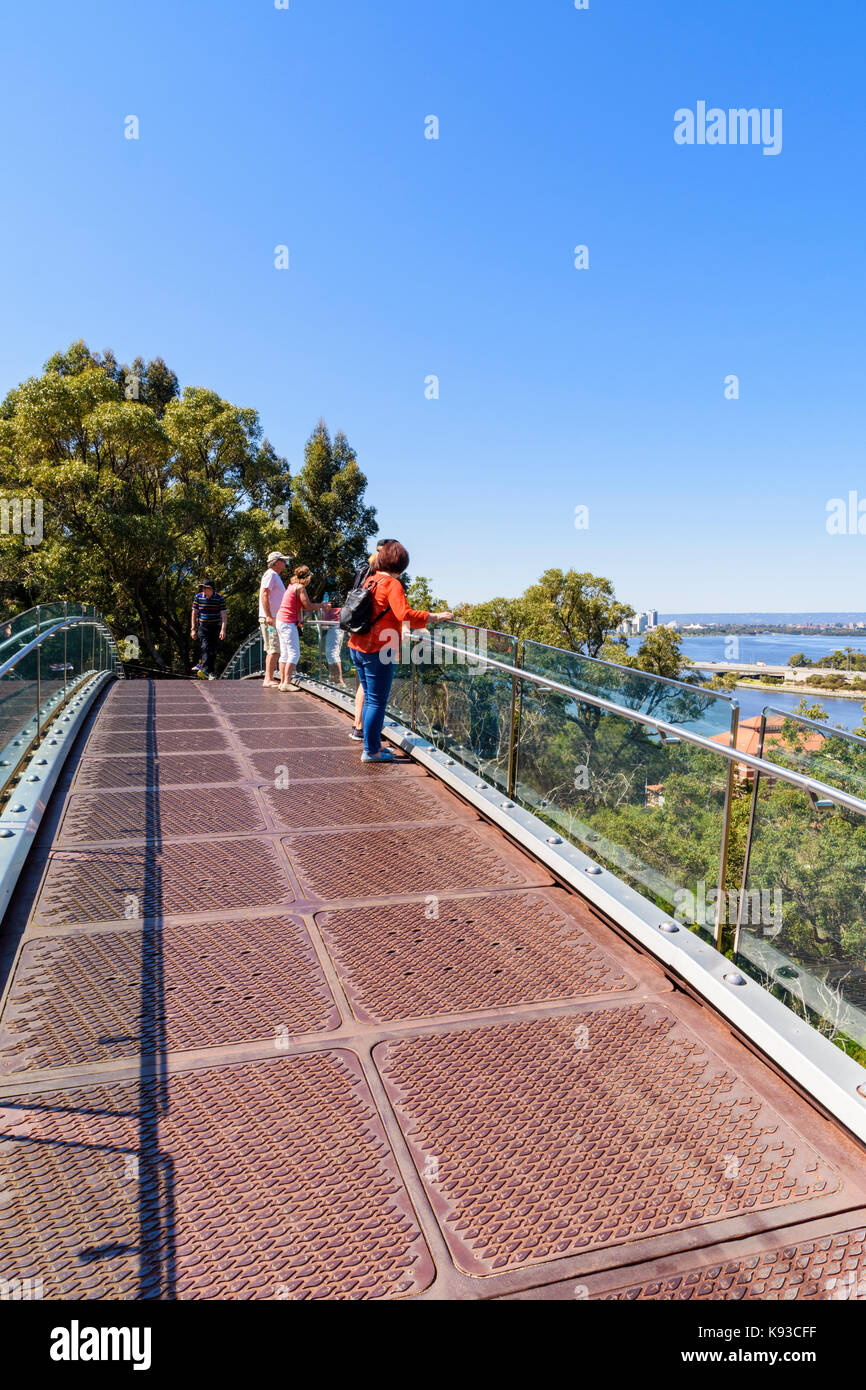 Kings park tree top walk hi-res stock photography and images - Alamy