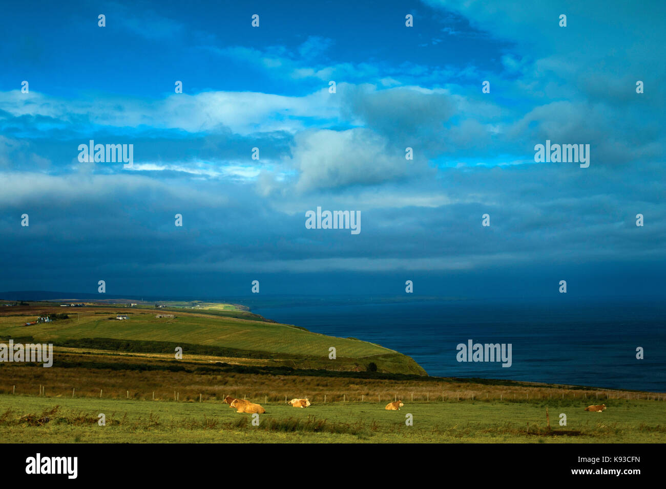 The North Coast 500 and the Caithness Coastline near Dunbeath ...
