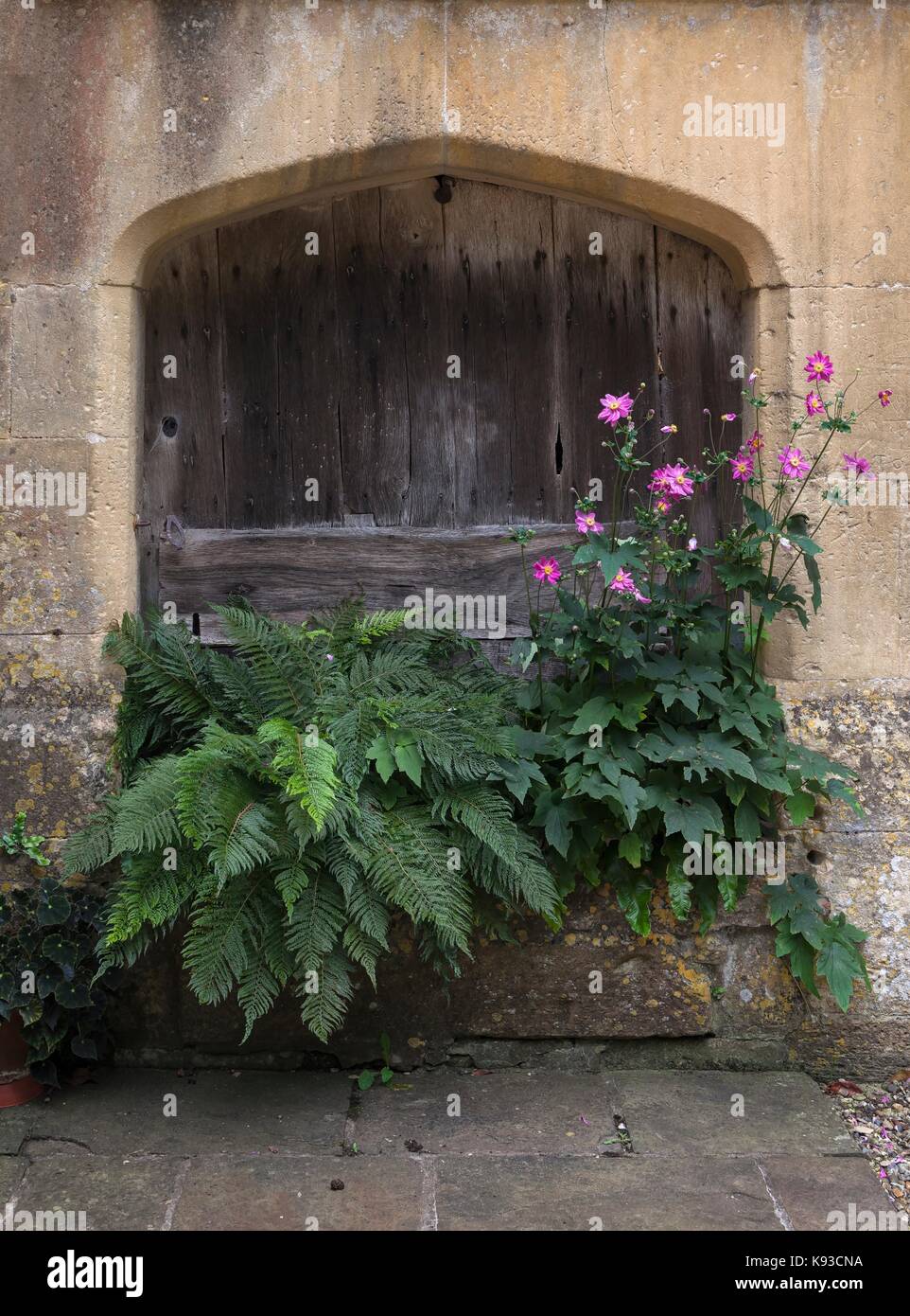 Cotswold stone planter hi-res stock photography and images - Alamy