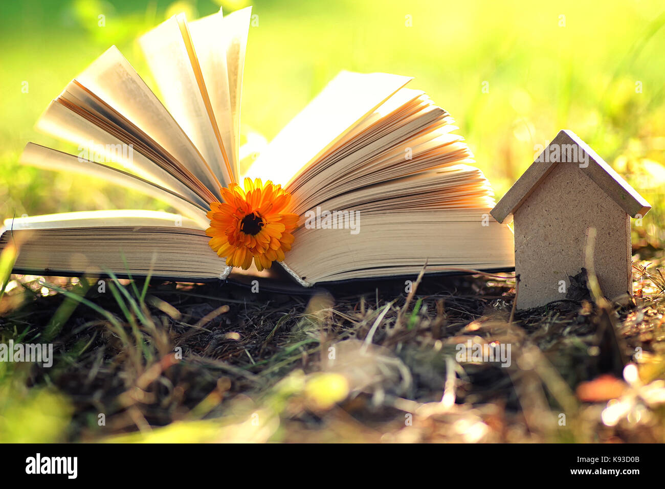 open book with flower on grass Stock Photo - Alamy