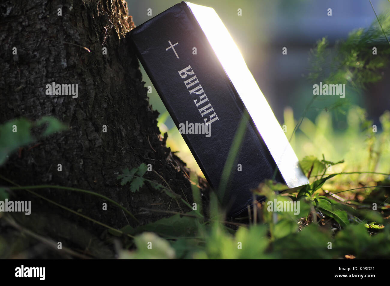 inscription on the book of the Bible "Bible" with cross in natur Stock ...