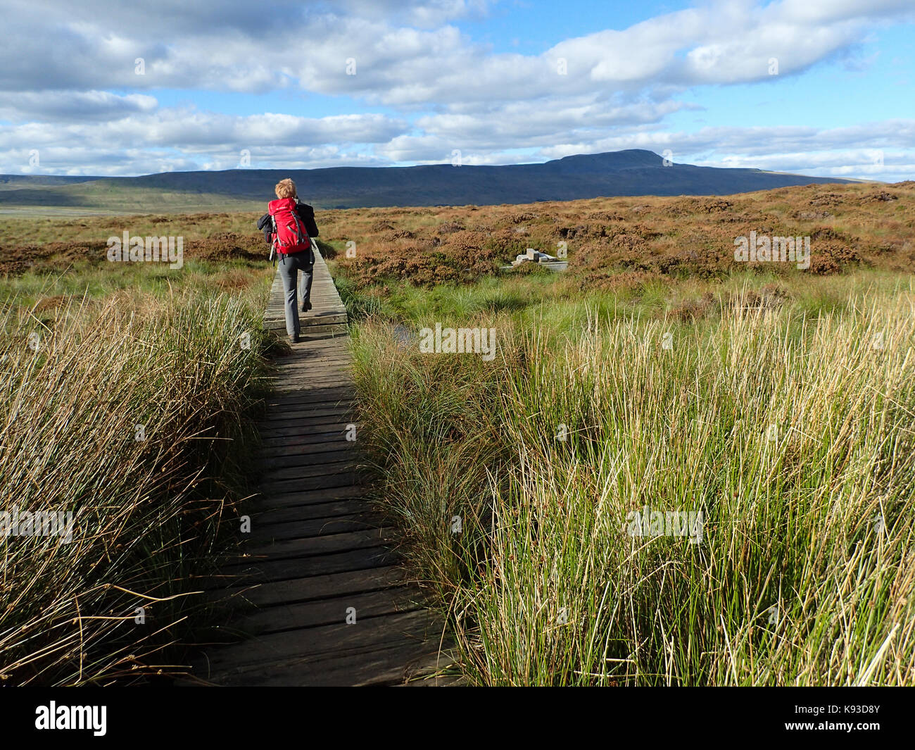 Whernside from Ingleborough, one of the Yorkshire Three Peaks ...