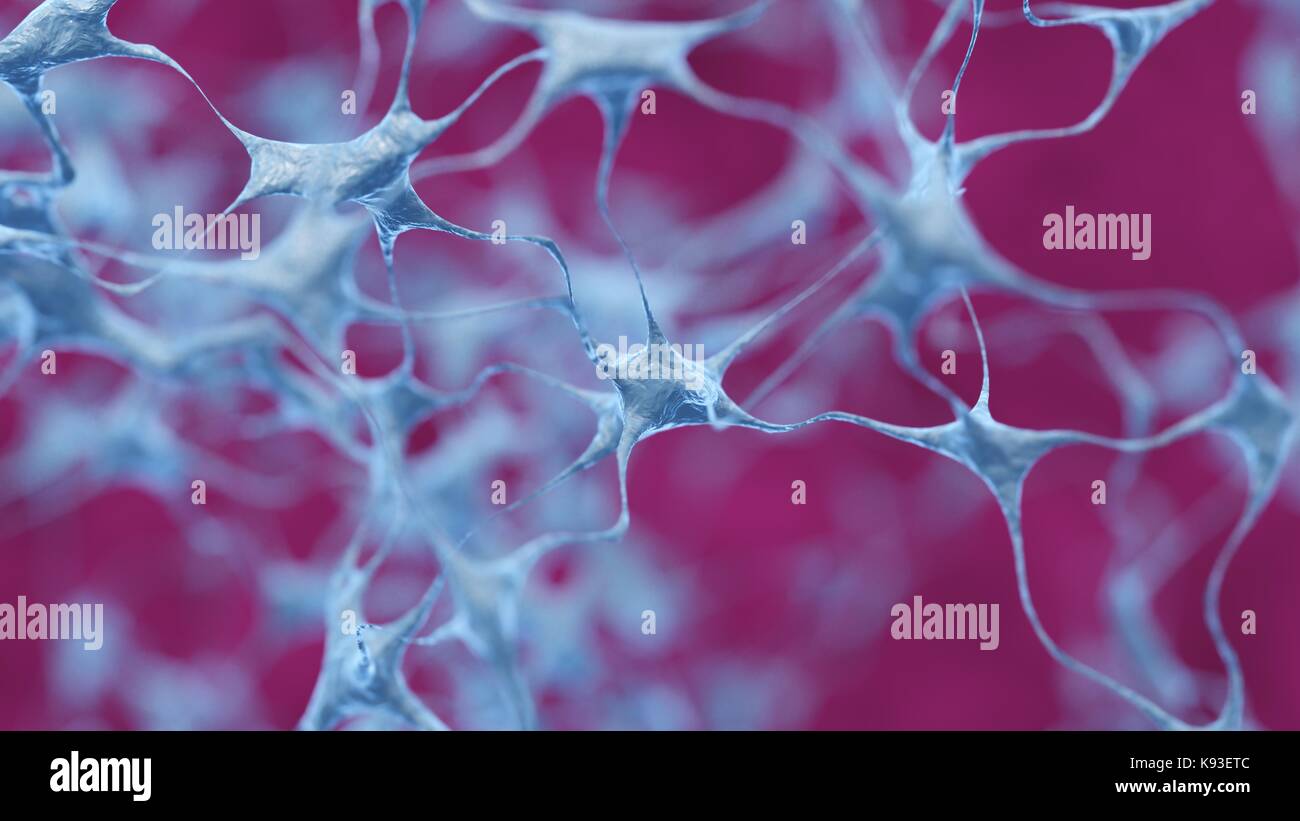 braincell net. 3d illustration of connected cell forms Stock Photo - Alamy