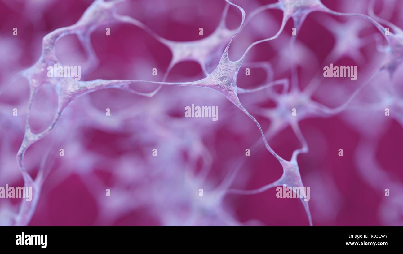 braincell net. 3d illustration of connected cell forms Stock Photo - Alamy