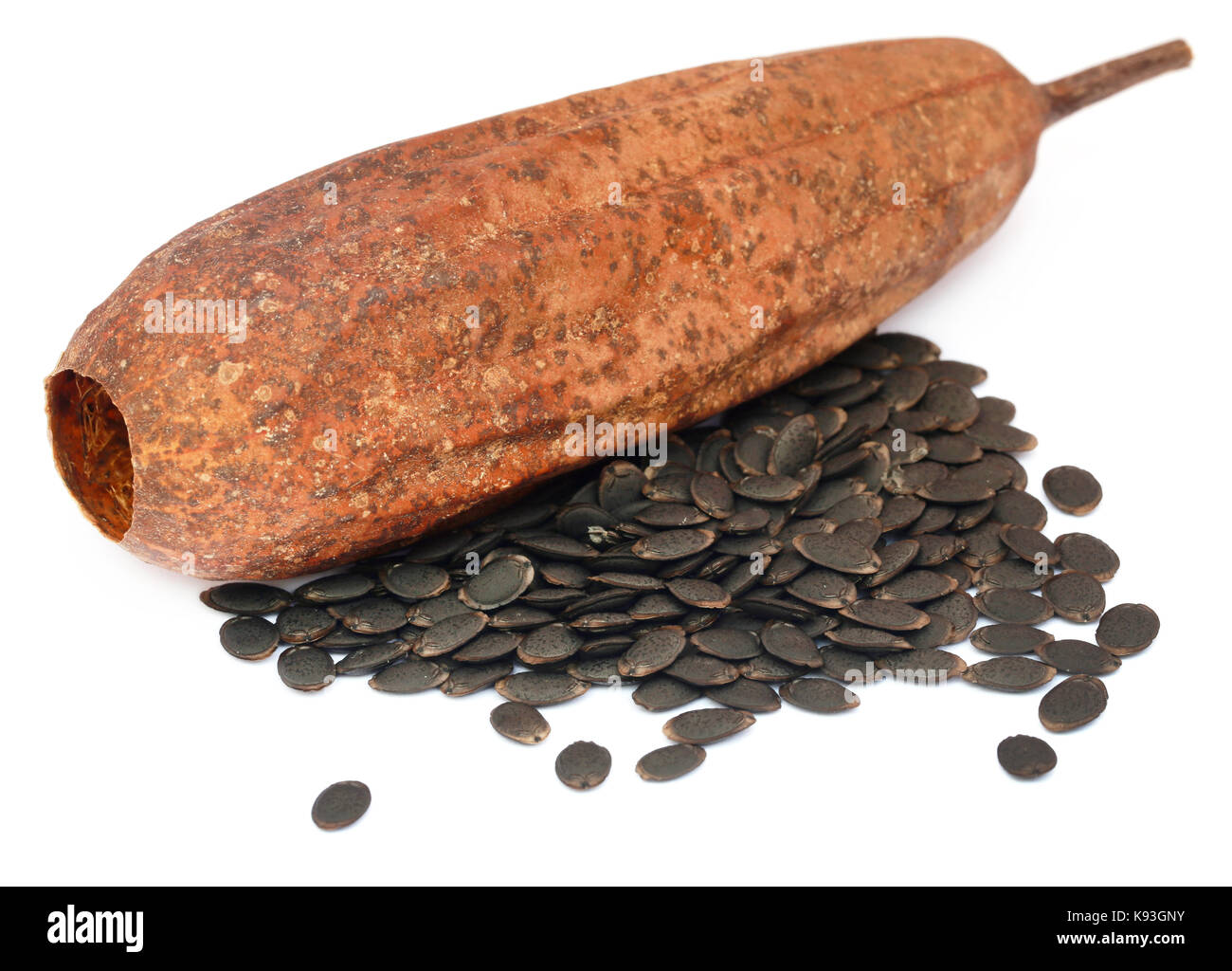 Ridge Gourd Seeds