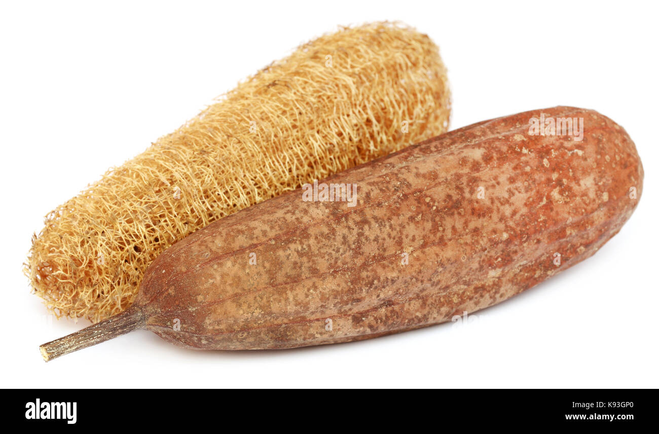 Natural scrubber of dried Ridge gourd over white background Stock Photo ...