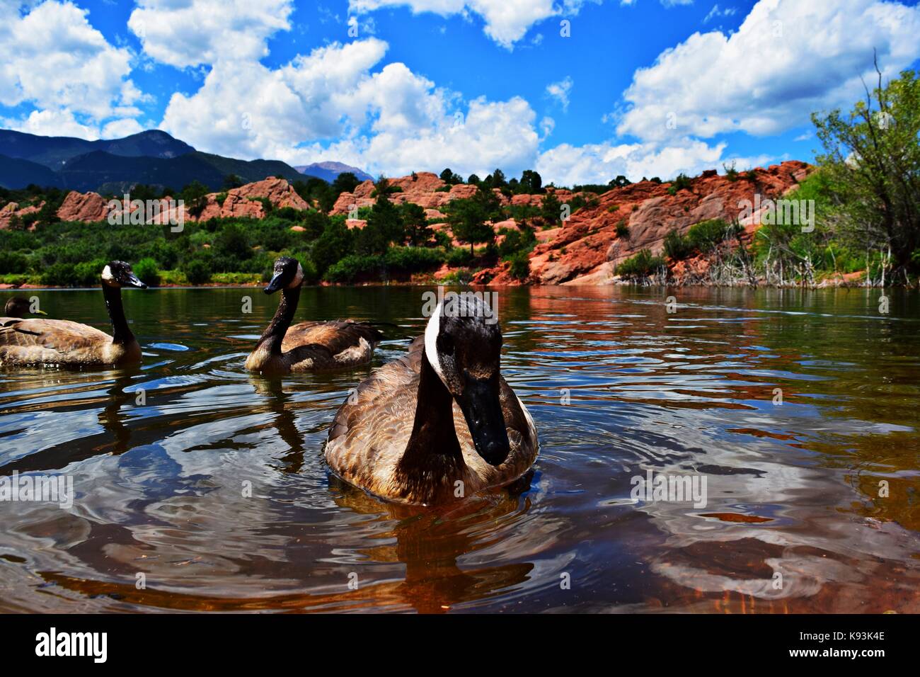 Red rocks open space hi-res stock photography and images - Alamy