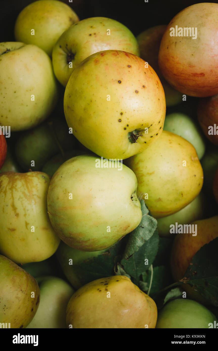 Cooking and eating apple hi-res stock photography and images - Alamy