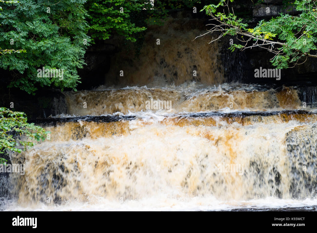 Force beck hi-res stock photography and images - Alamy
