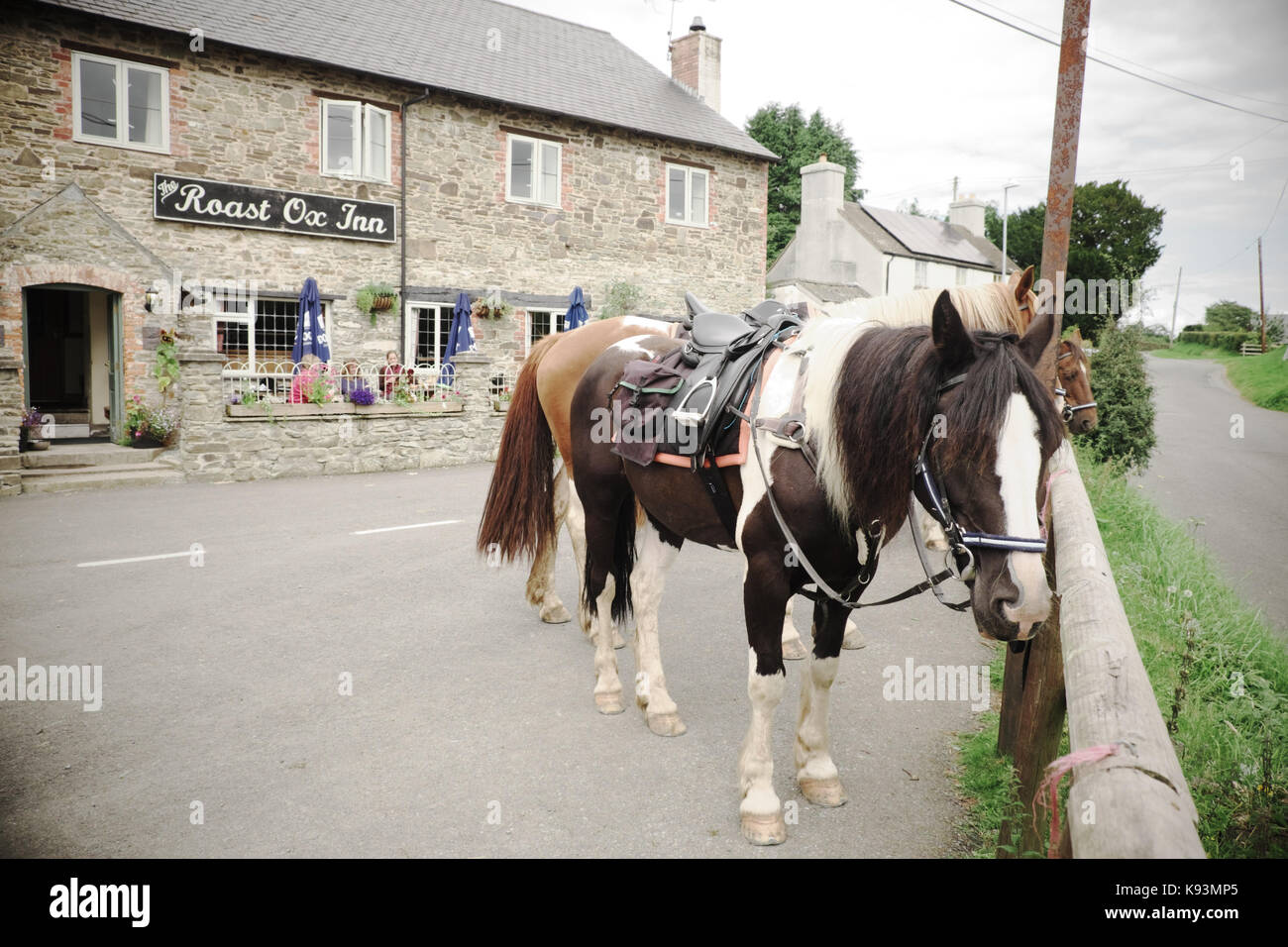 Painscastle, Powys, Wales trekking horses tied up outside the Roast Ox ...