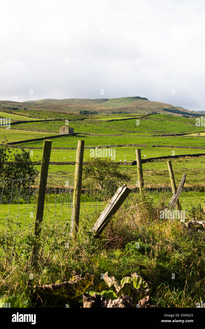 The View Towards Gayle and Dodd Fell from Bainbridge in the Yorkshire ...