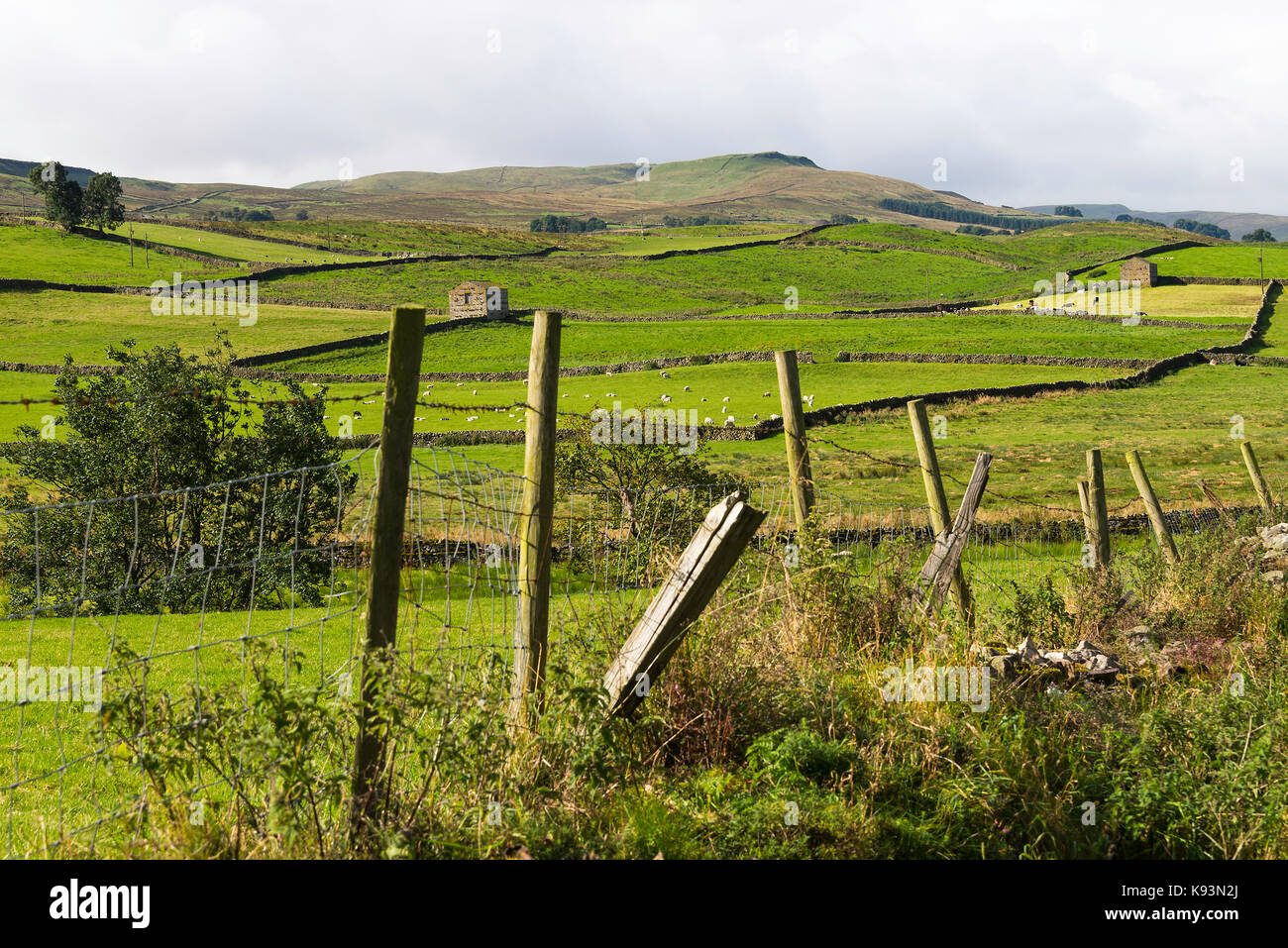 The View Towards Gayle and Dodd Fell from Bainbridge in the Yorkshire ...
