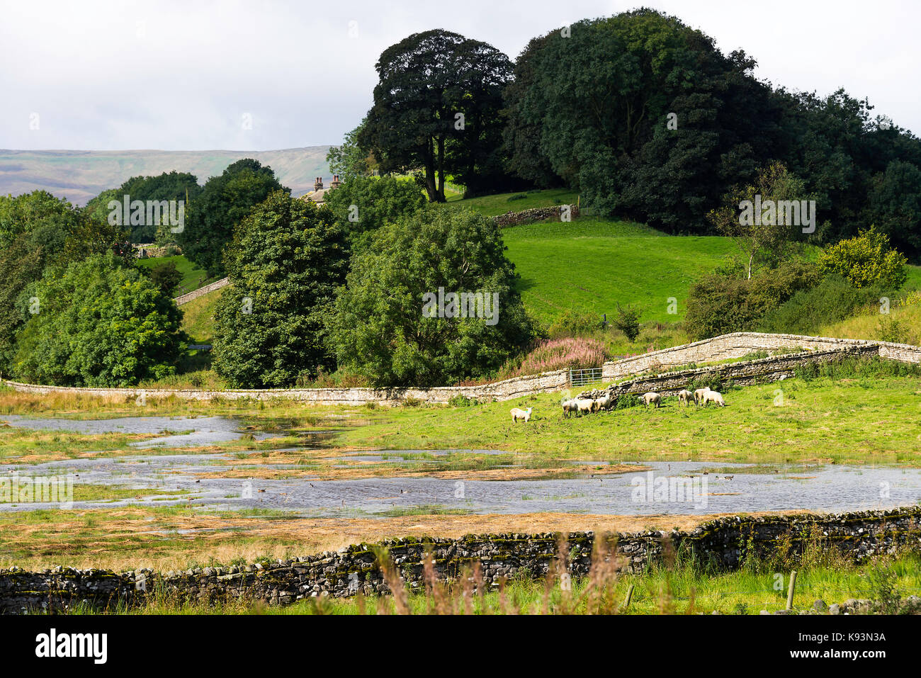 The View Towards Gayle and Dodd Fell from Bainbridge in the Yorkshire ...