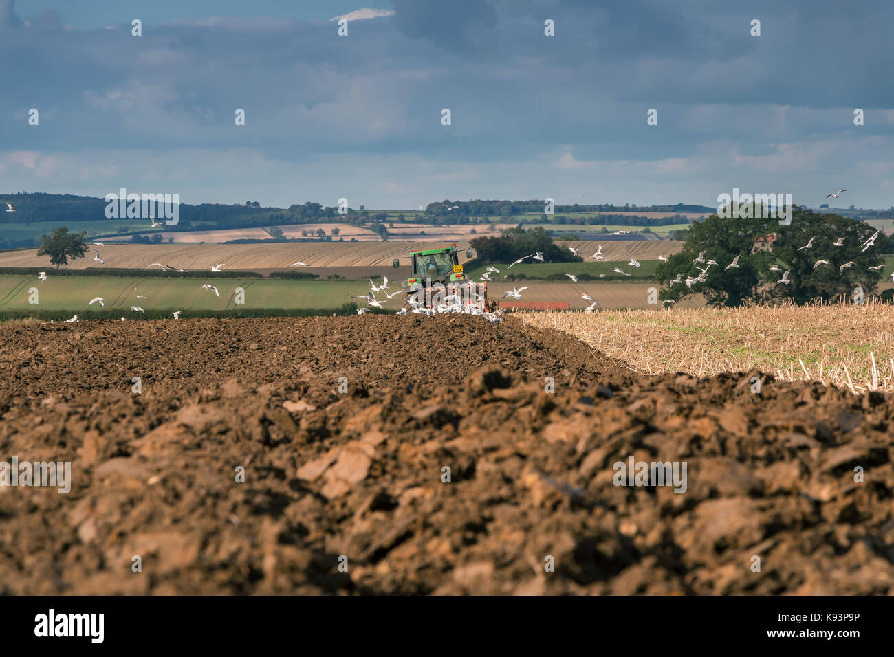 Foxberry Farm High Resolution Stock Photography and Images - Alamy
