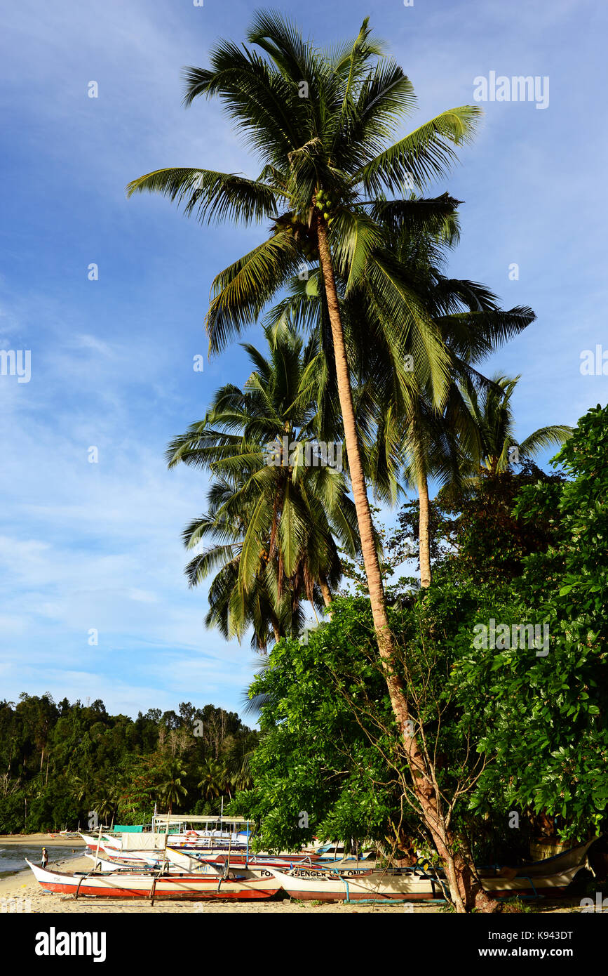 Luzon island philippines port hi-res stock photography and images - Alamy