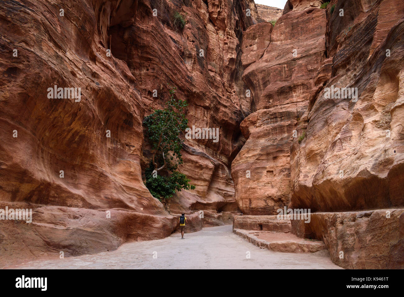 Man walking along path through rock formations at Petra, Jordan Stock ...