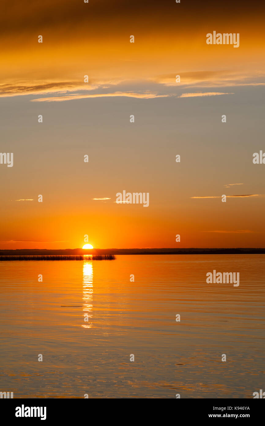 Golden sunset on the beach at Buffalo Lake in Alberta, Canada. Tranquil ...
