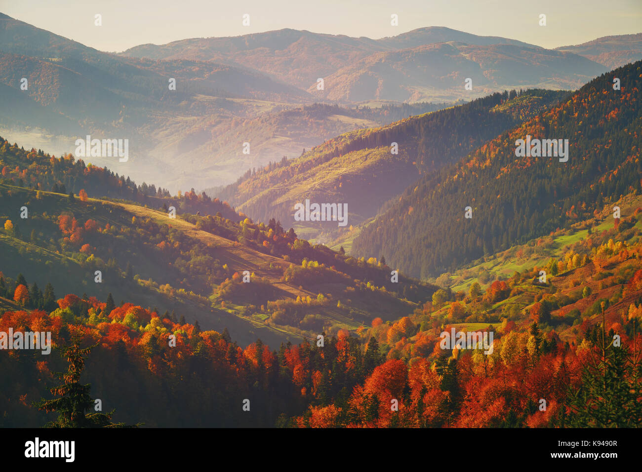 Late autumn season hi-res stock photography and images - Alamy