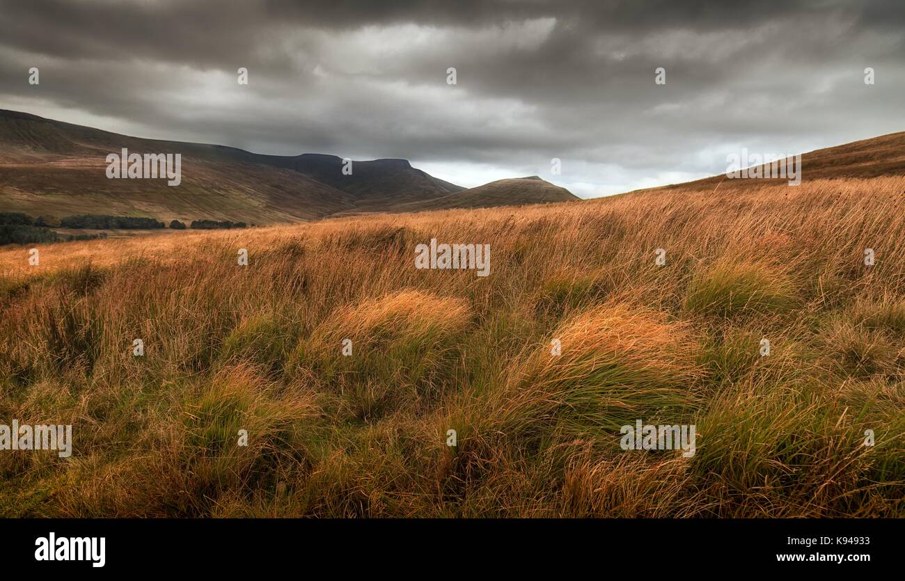 Welsh hills brecon beacons hi-res stock photography and images - Alamy