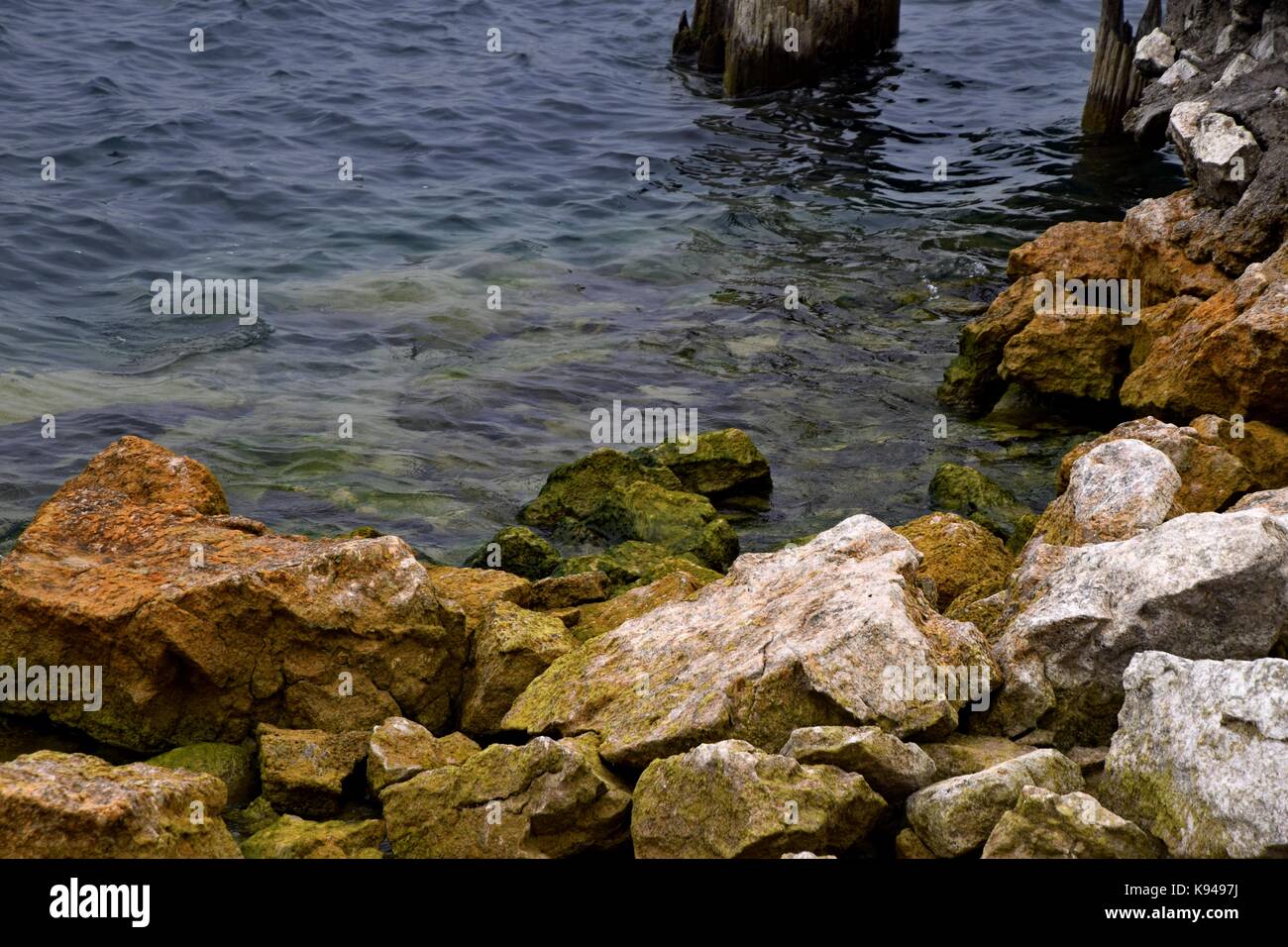 overgrown Stones on lake garda under cloudy sky, green alga or green ...