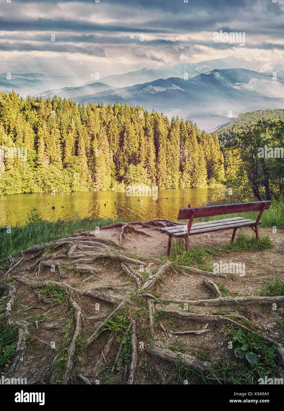 The place for rest. A quiet place for reflection in the park near the ...