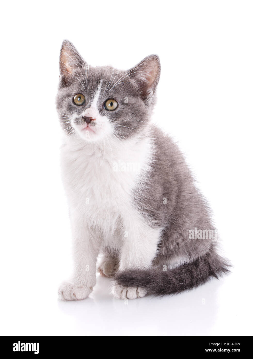 Domestic street Cut Out Stock Images & Pictures - Alamy