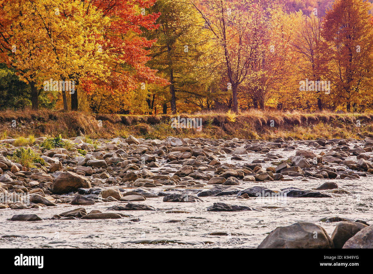 Stream with stones hi-res stock photography and images - Alamy