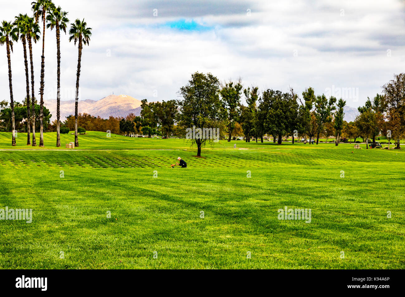 An elderly woman places flowers on a grave at the Riverside National ...