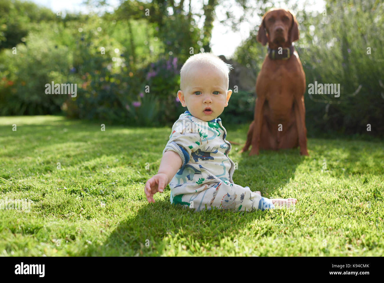 Portrait of a very young baby wearing a colourful onsey in the garden ...