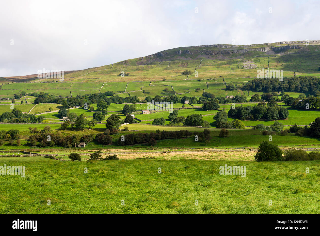 View of Countryside Towards Askrigg with Nappa Scar and Blue Scar in ...