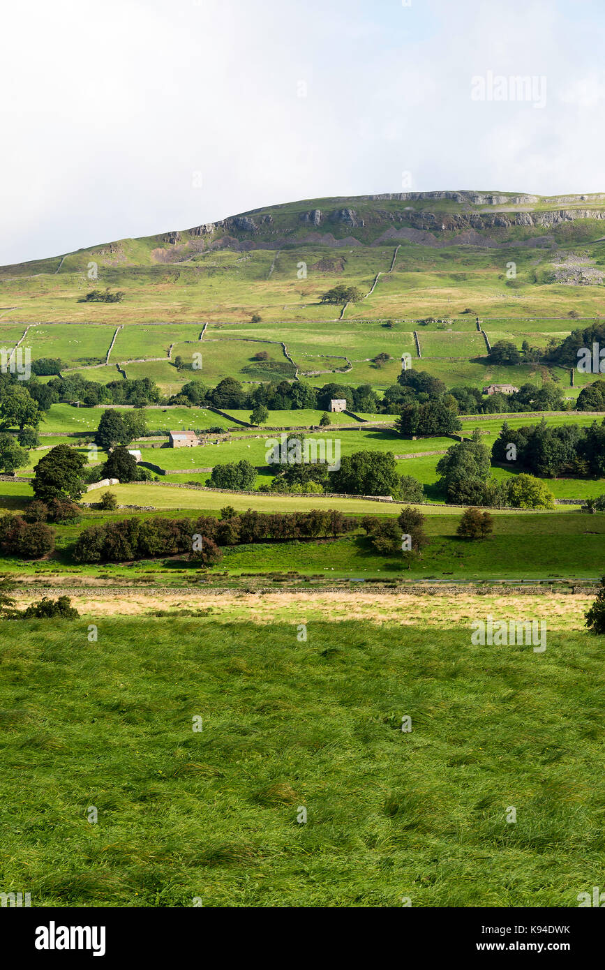 View of Countryside Towards Askrigg with Nappa Scar and Blue Scar in ...