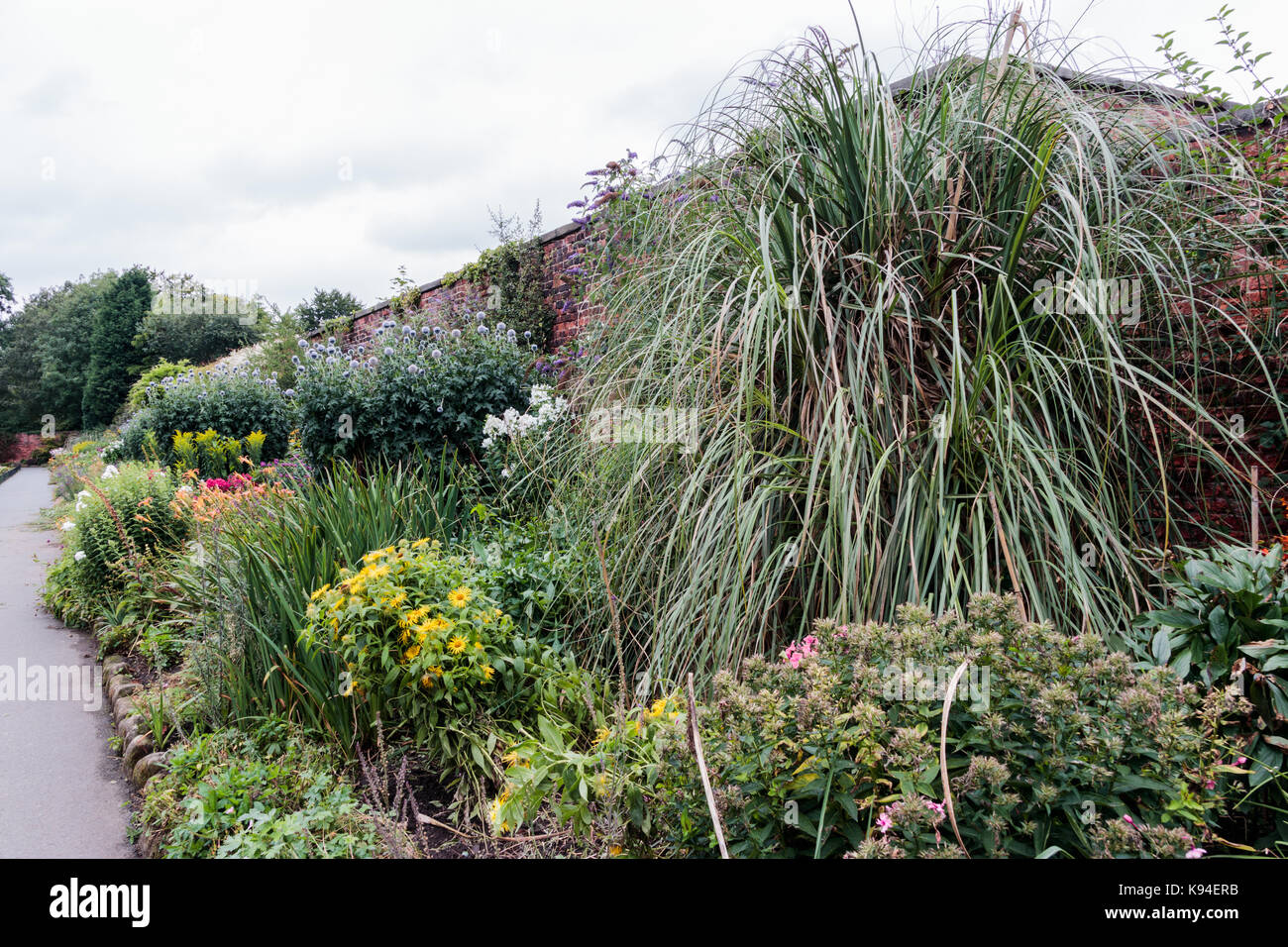 Plants, shrubs, trees and flowers in Canal Gardens, Roundhay Park ...