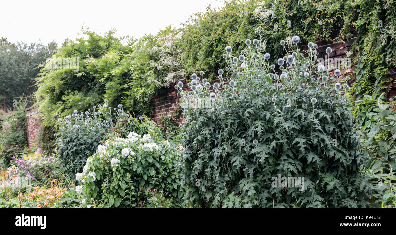 Plants, shrubs, trees and flowers in Canal Gardens, Roundhay Park ...