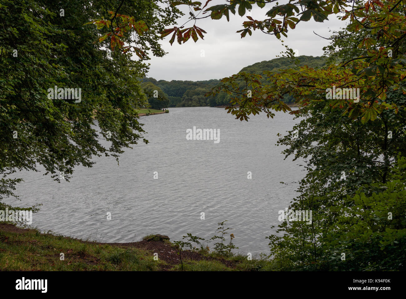 Waterloo Lake, Roundhay Park, Leeds, framed by trees Stock Photo - Alamy