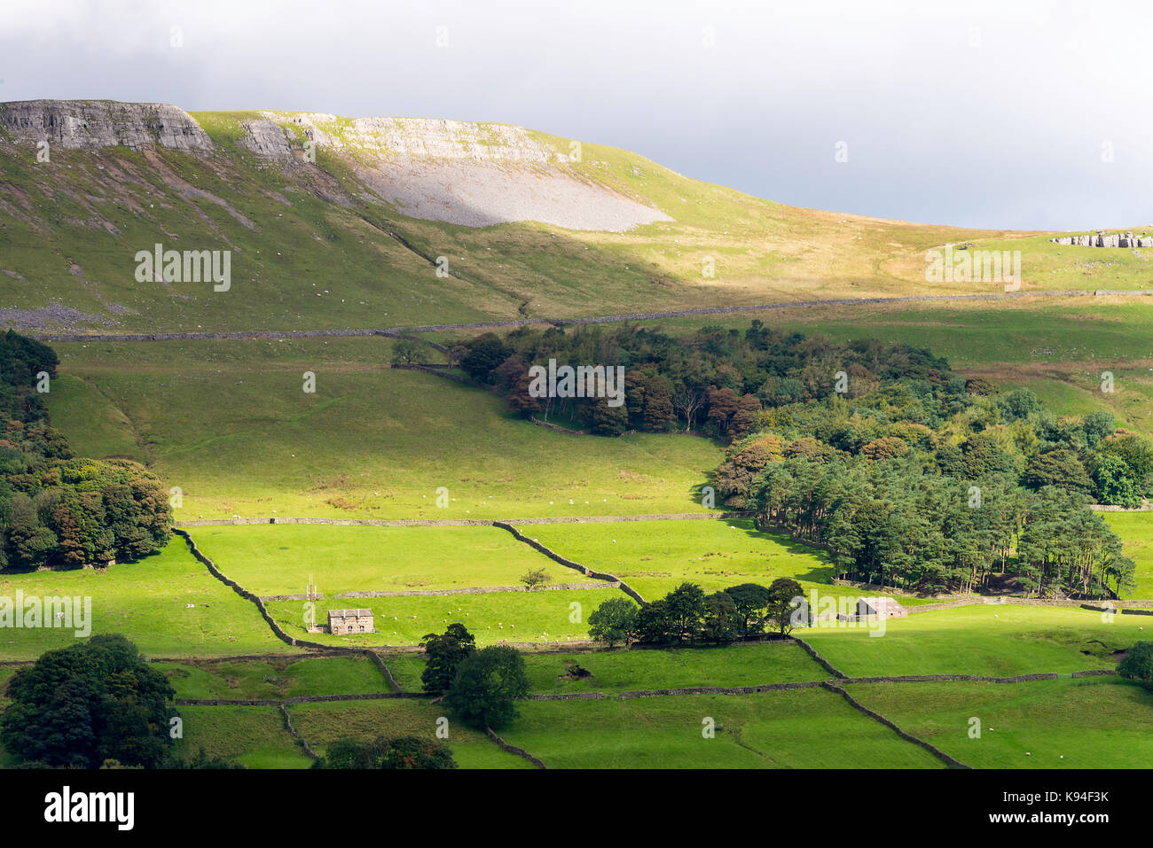 The View Towards Sedbusk High Pasture near Hawes in The Yorkshire Dales ...