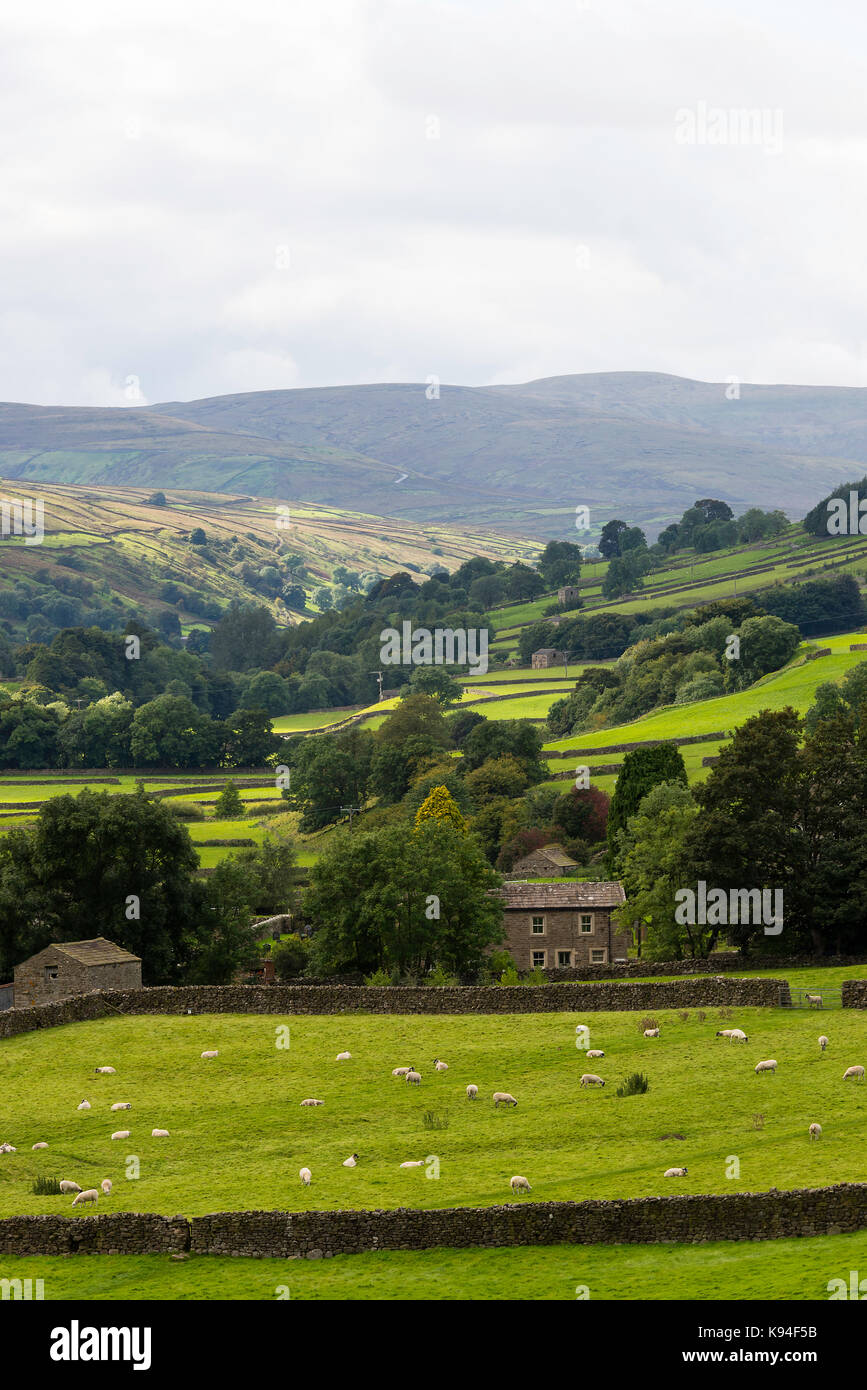 The View Up Swaledale Towards Gunnerside in The Yorkshire Dales ...