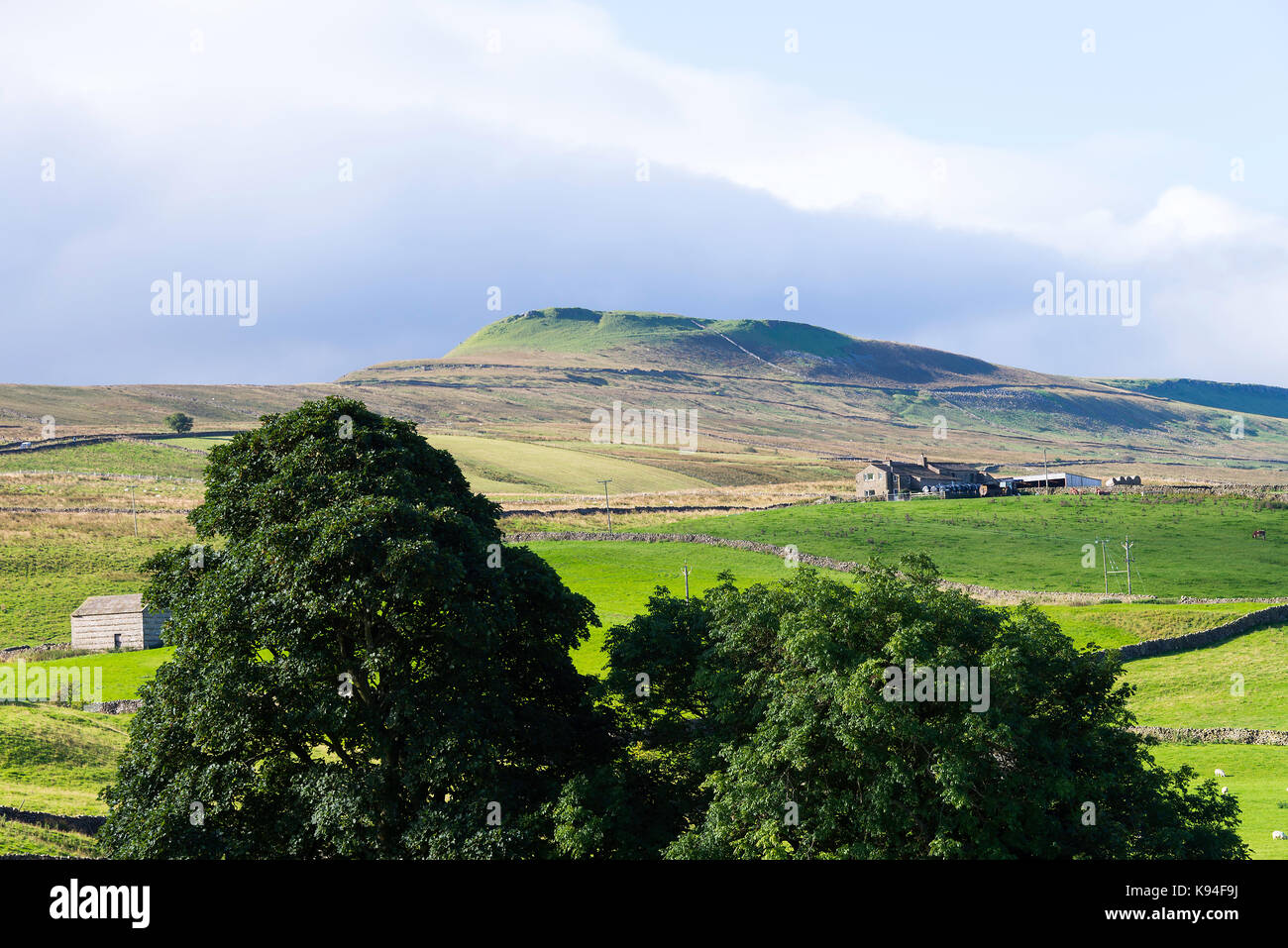 The View Towards Gayle and Dodd Fell from Bainbridge in the Yorkshire ...