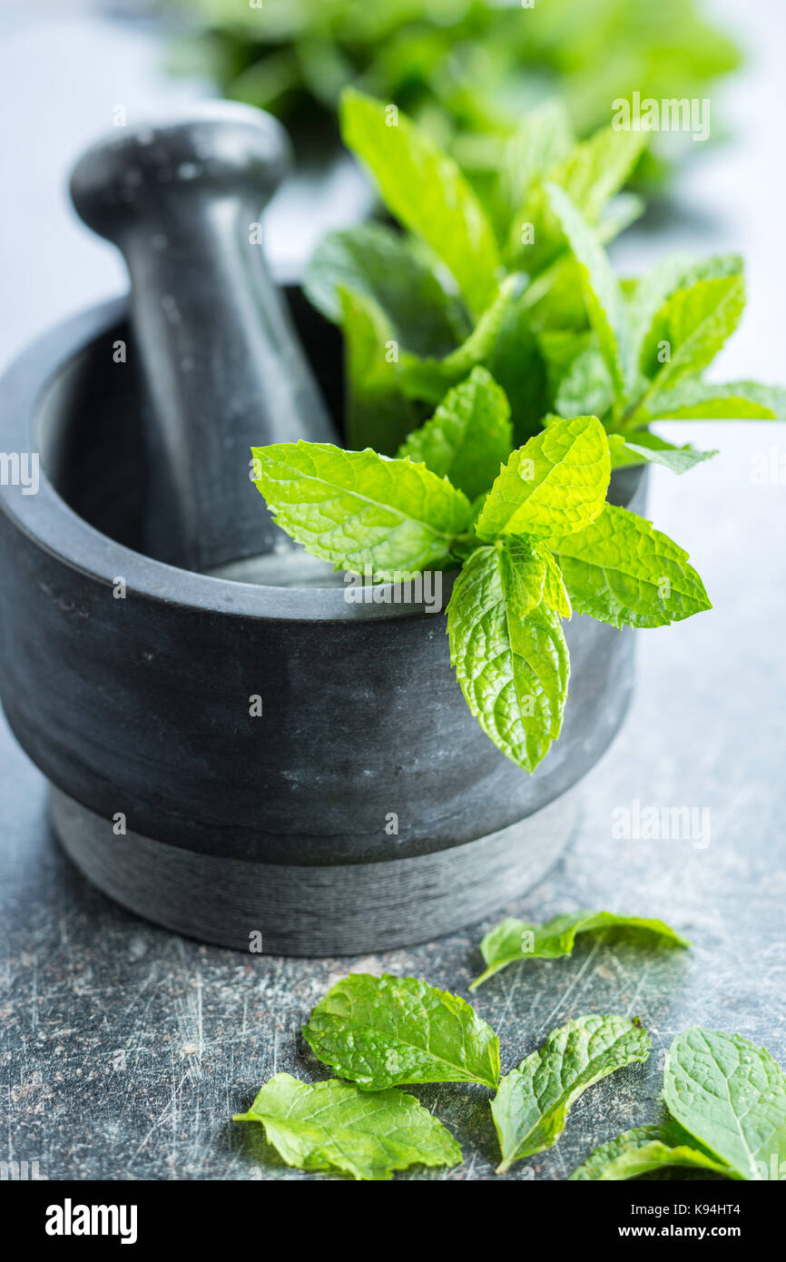 Mortar fresh mint leaves hi-res stock photography and images - Alamy