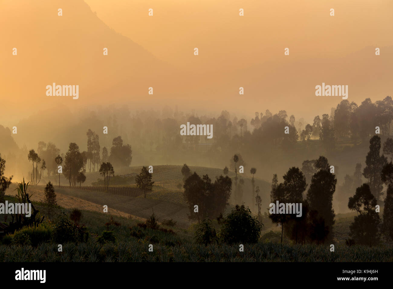 Visit bromo hi-res stock photography and images - Alamy