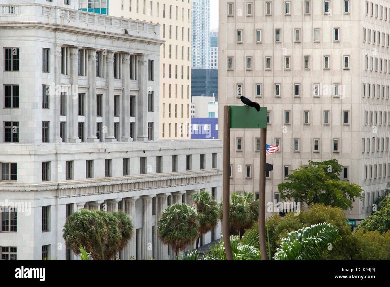 Different style buildings in Miami downtown (Florida Stock Photo - Alamy